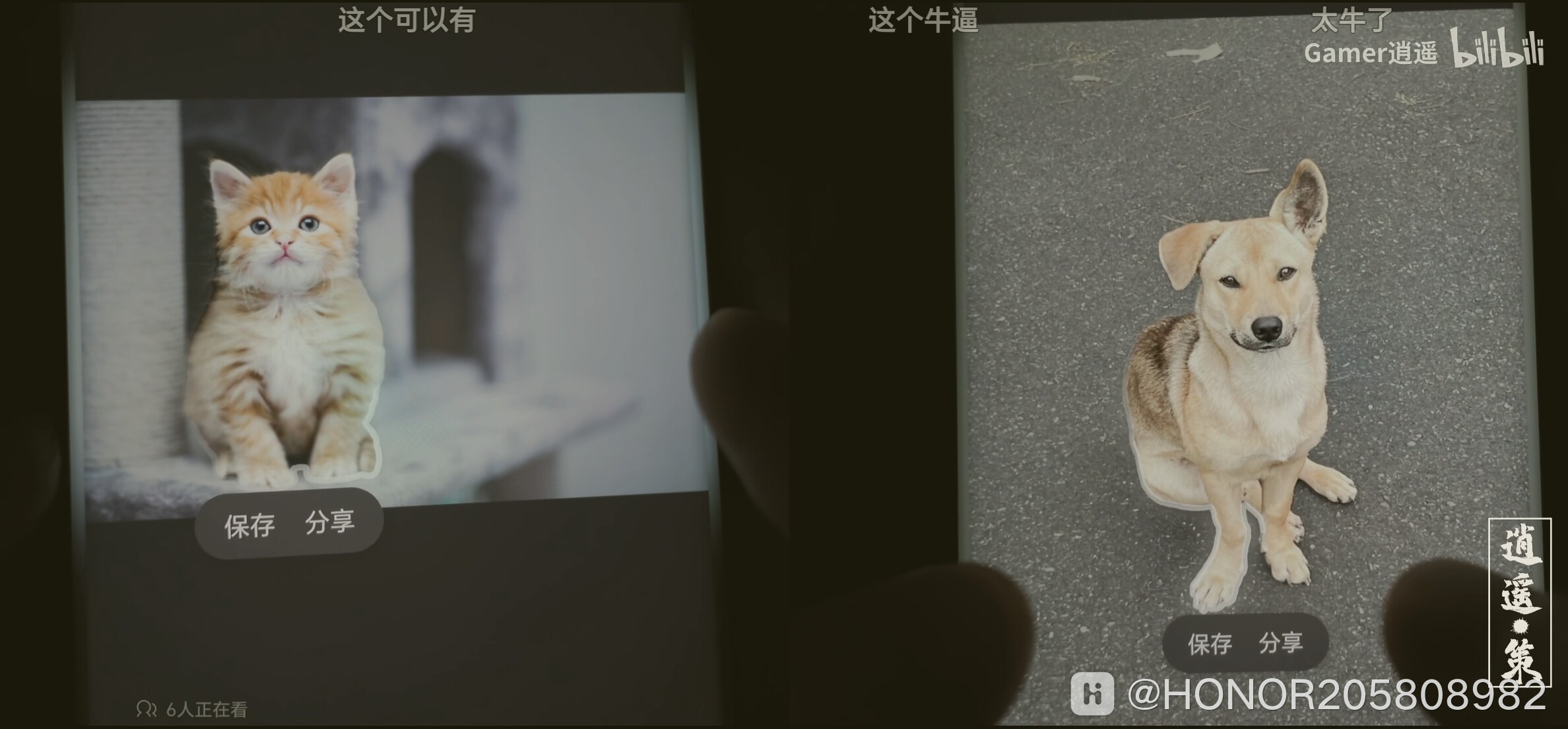 Magic Os 8.0智慧识屏的AI抠图功能-荣耀俱乐部