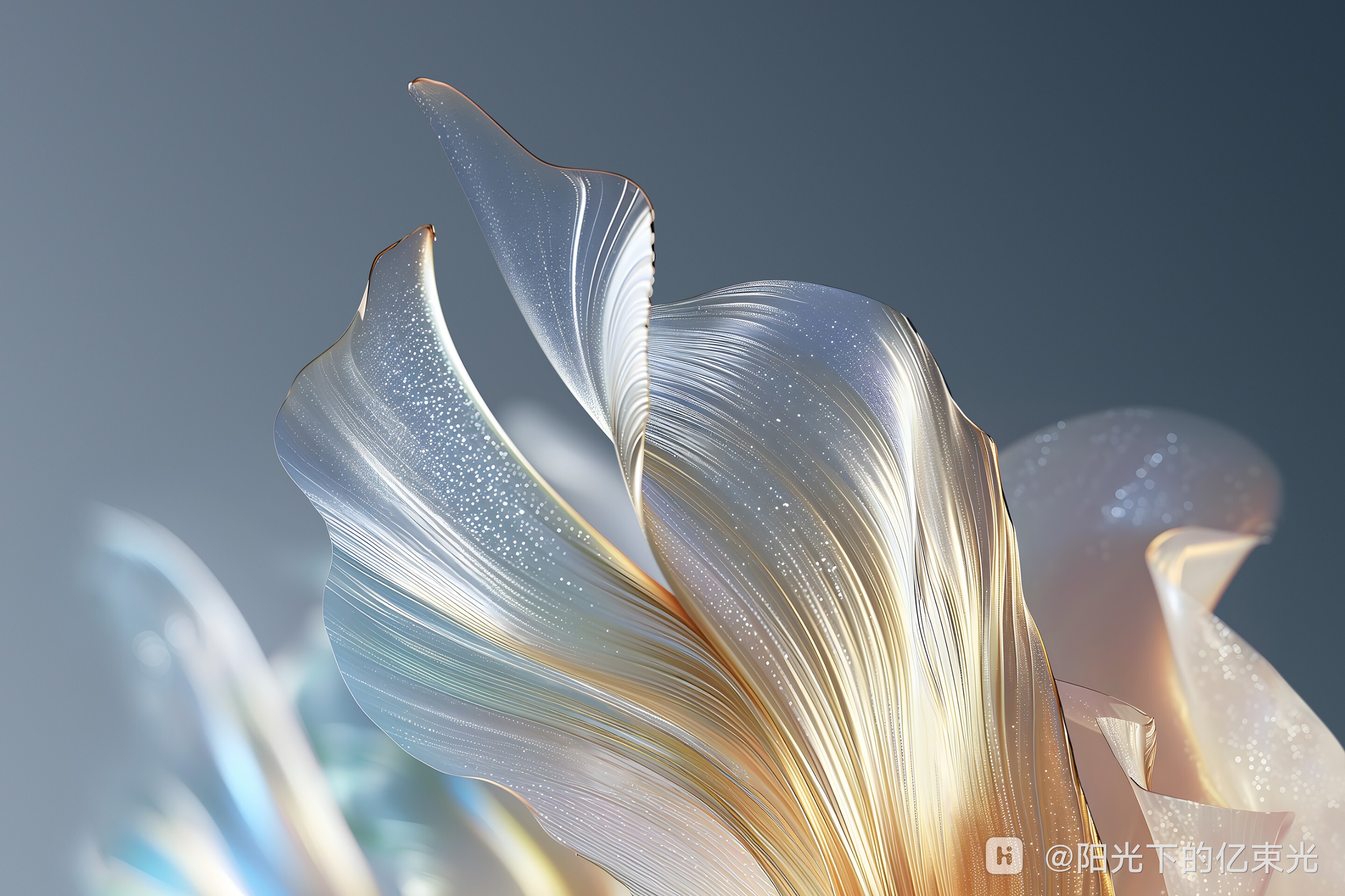 HONOR MagicBook Art 14预制壁纸-荣耀俱乐部