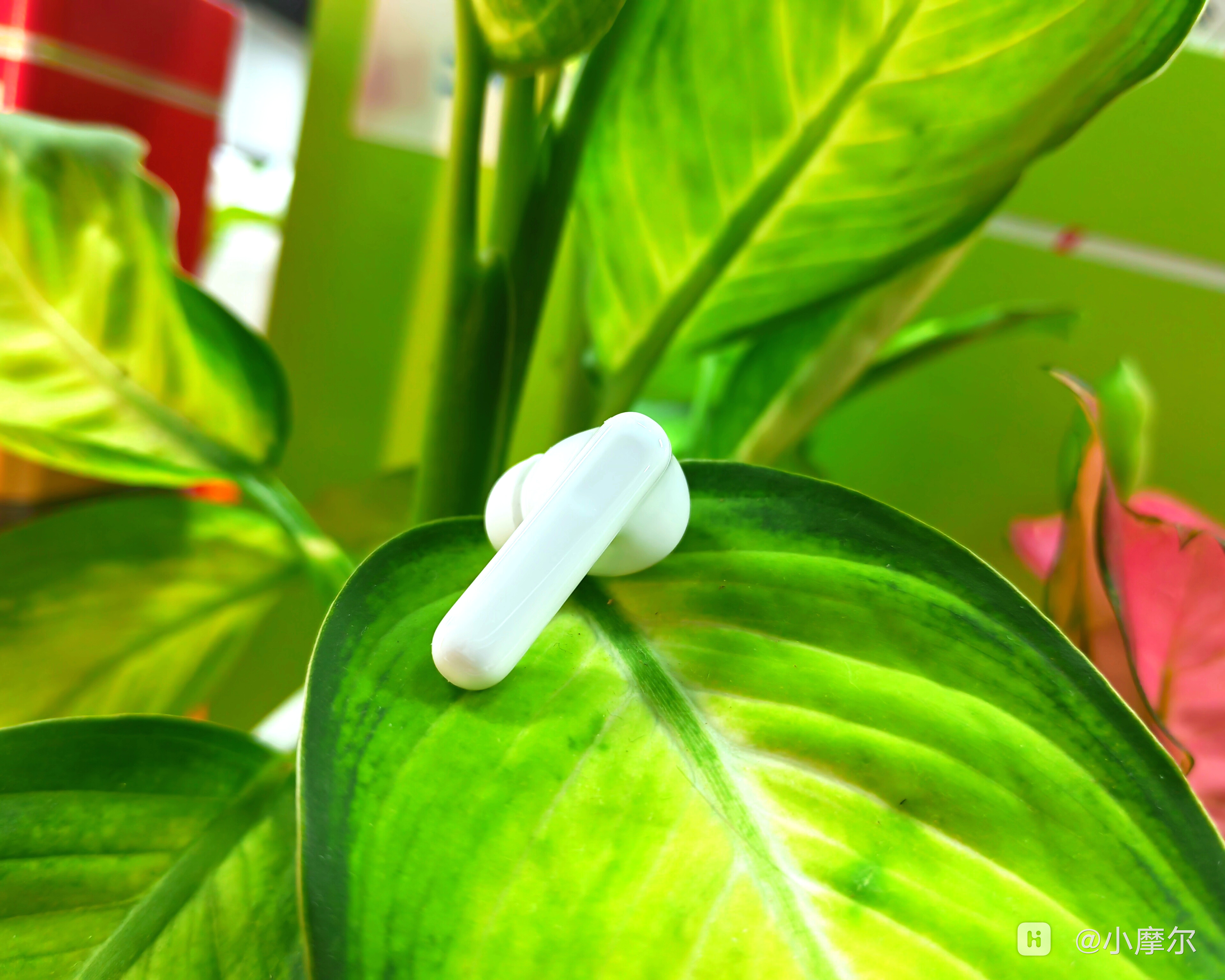 真降噪、好音质、强续航的荣耀Earbuds X9体验评测-荣耀俱乐部