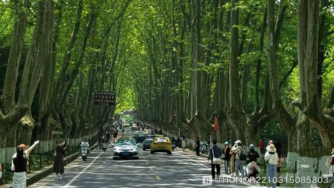 夏天的味道-荣耀俱乐部