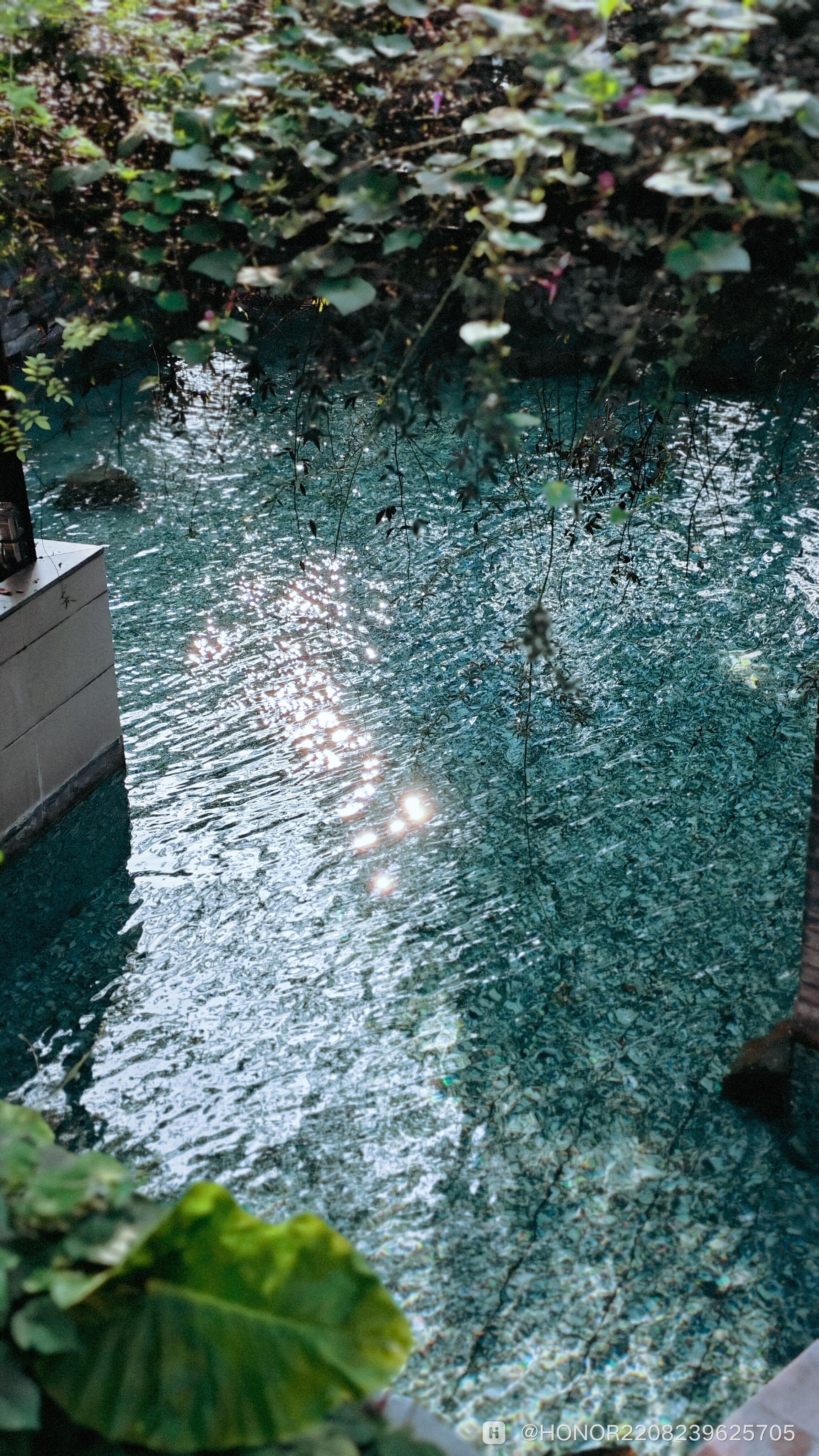 300U随拍-荣耀俱乐部