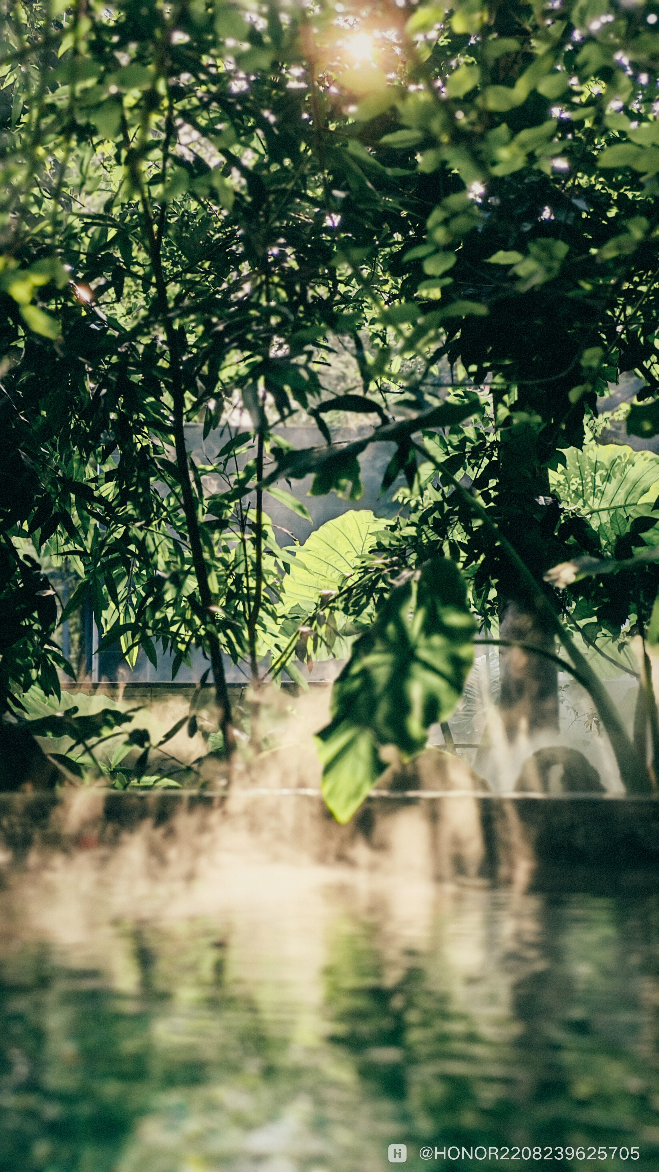 300U随拍-荣耀俱乐部