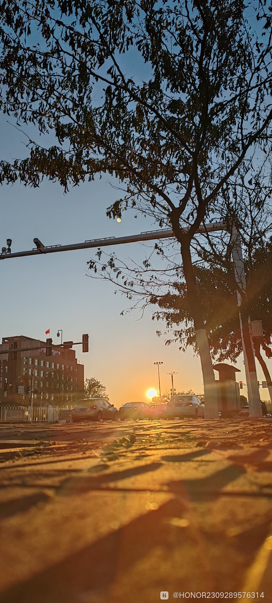 金秋十月，丹桂飘香-荣耀俱乐部