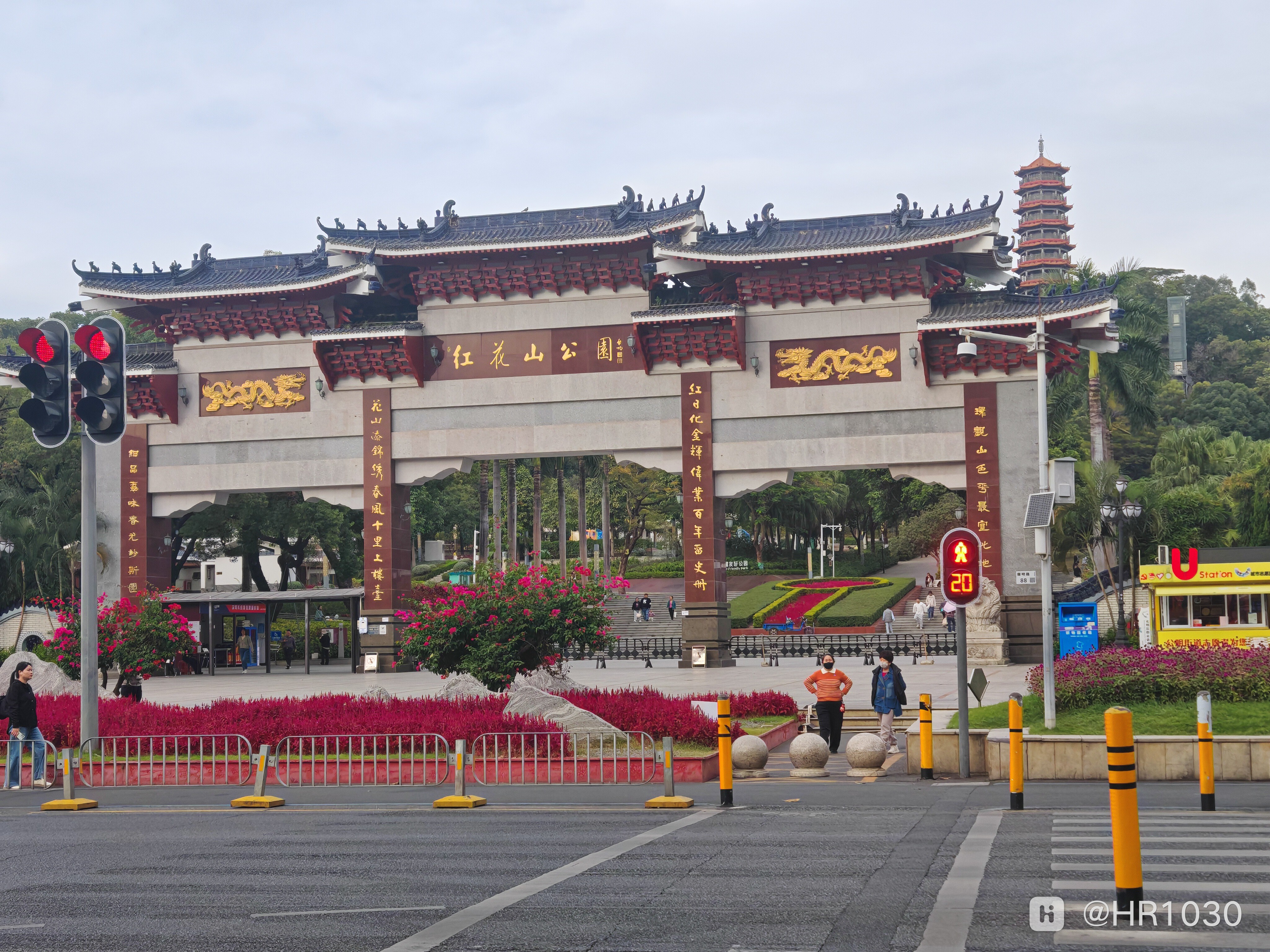 红花山公园—粉黛子草等你等到发黄了-荣耀俱乐部