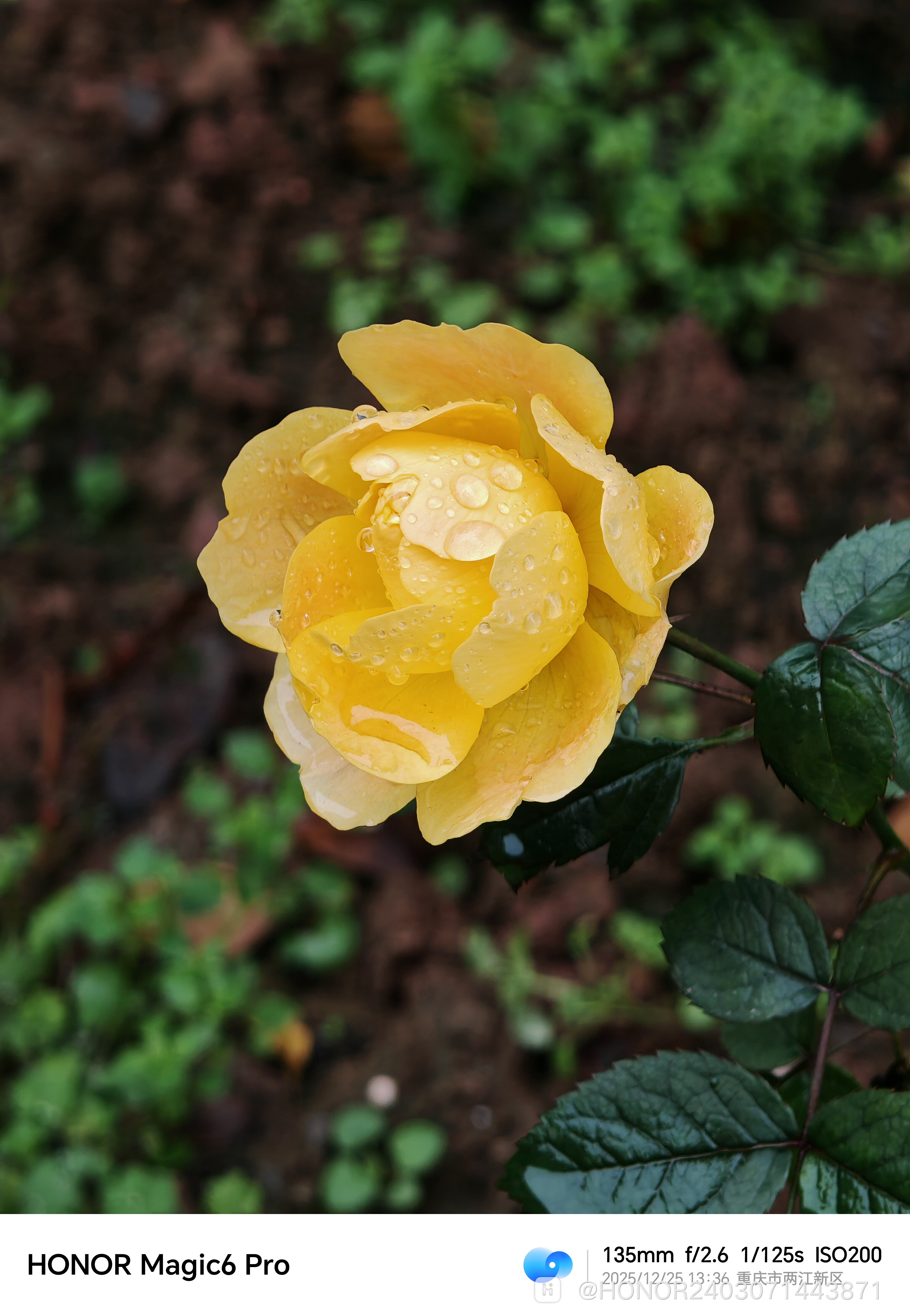 120长焦，有史以来最好的版本-荣耀俱乐部