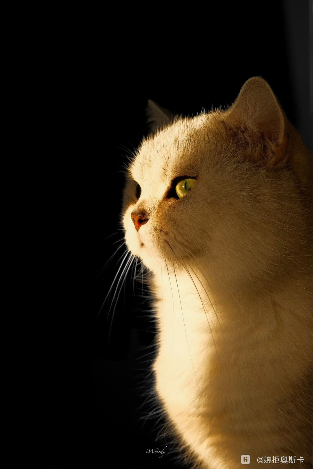 允许一切发生，才能遇见一切可能，一切从容，万事皆美。-荣耀俱乐部